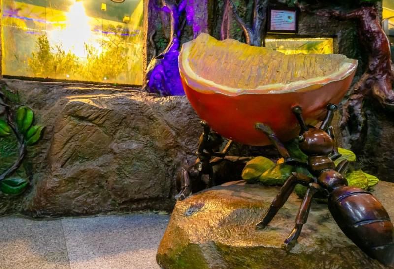 A place where you can learn about insects in Shanghai-Natural Wild ...