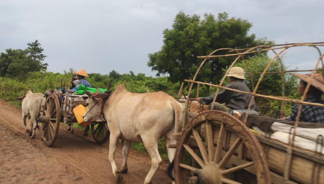 Sad!Thousands of refugees flee in ox carts in Myanmar town - iNEWS