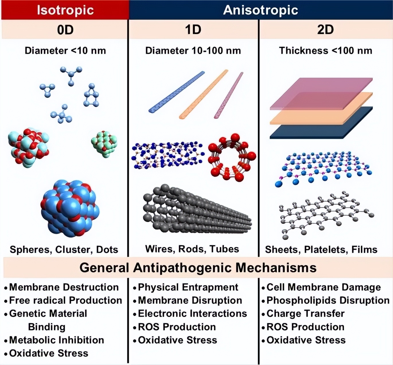 Two-dimensional materials research for industrialization - iNEWS