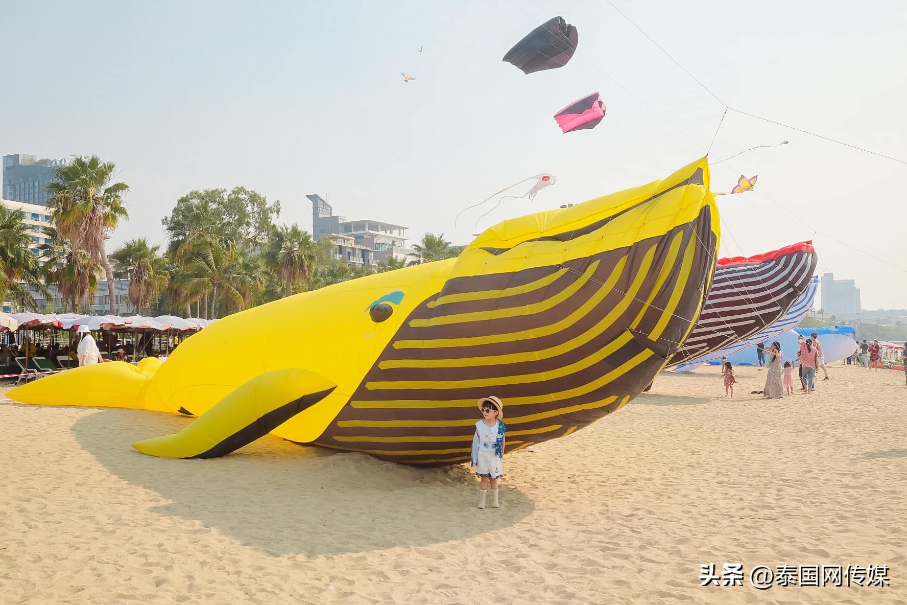 Thailand's Pattaya Kite Festival is expected to generate 150 million ...