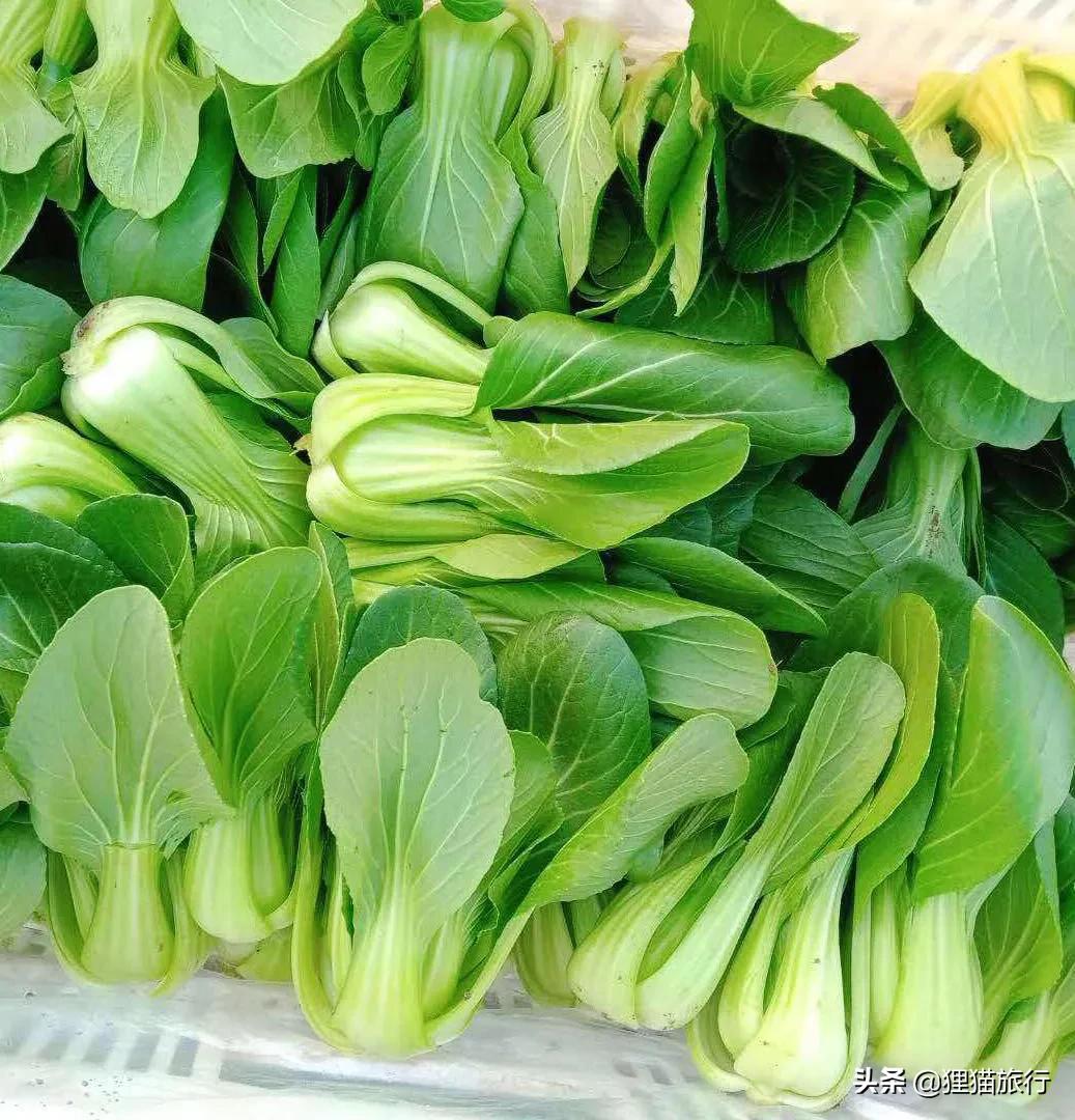 Vegetables named after "Shanghai" - Shanghai green, also known as ...