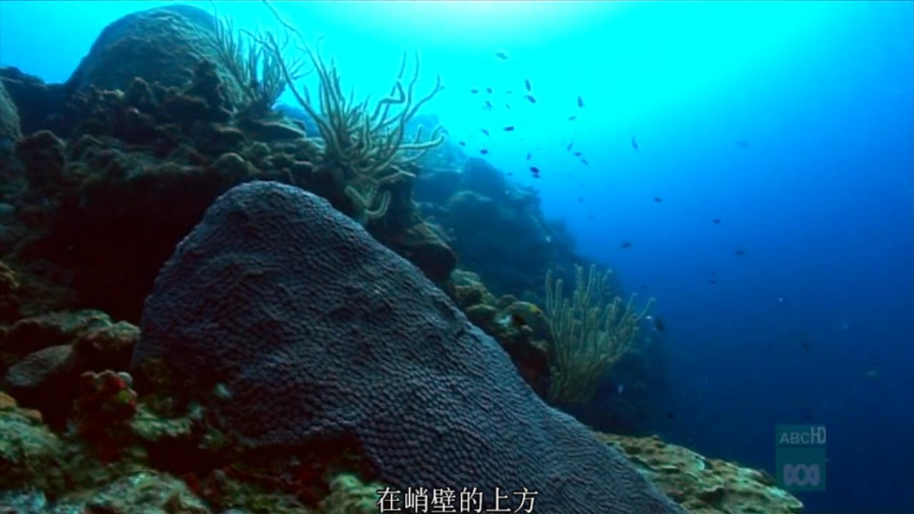 Explore the wonderful world and watch these 100 classic documentaries ...