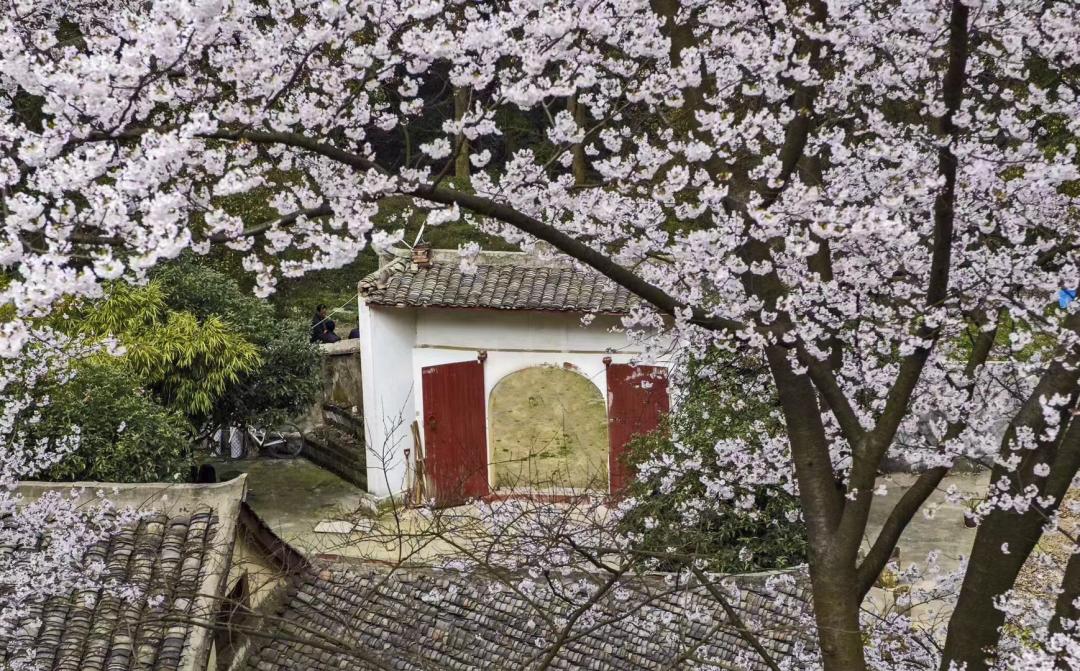 Xunyang Poems and Paintings—Give yourself on a fallen leaf - iNEWS