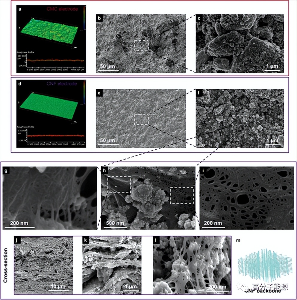 "AEM》Highly carboxylated cellulose nanofiber sulfur cathode - iNEWS