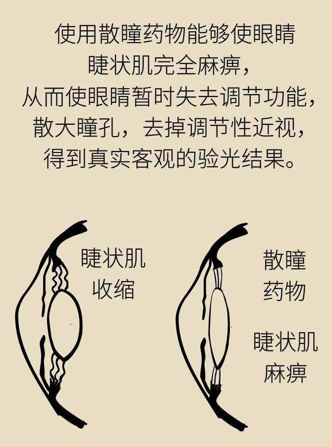 Here's everything you want to know about mydriatic optometry!Send my ...