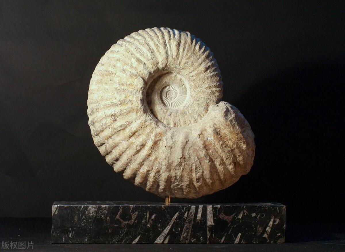 The Anthropocene: How We Made Our Mark on Earth - iNEWS