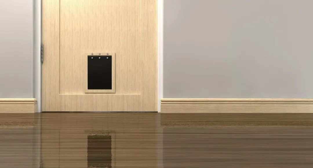 The baseboards are a nice thing, too bad they're ugly! - iNEWS