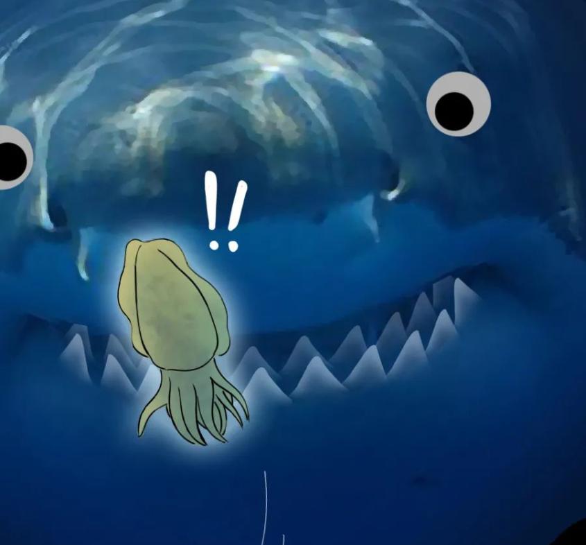 Squid sprays ink from the anus, no one really likes to drink cuttlefish ...