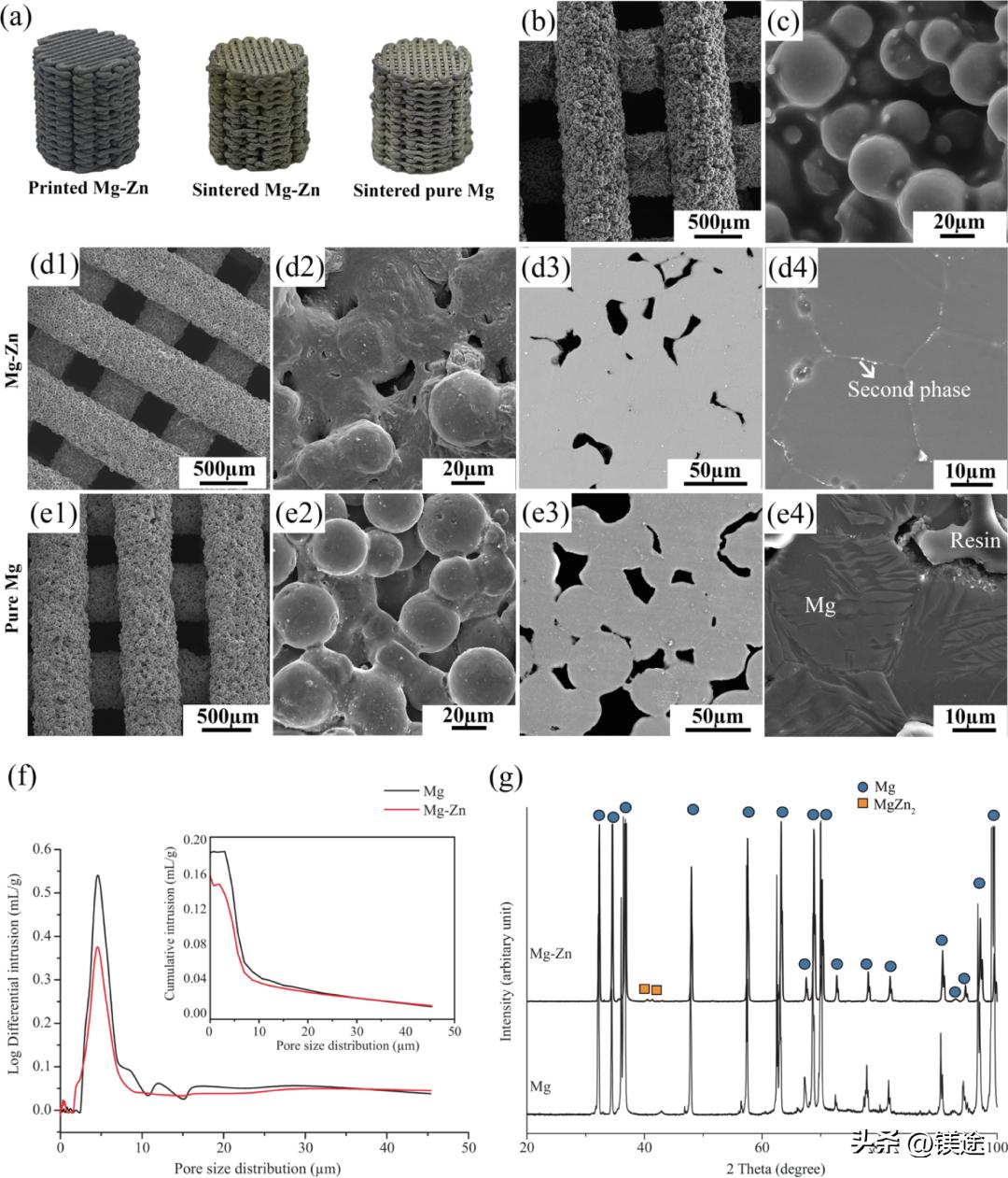 Magnesium research: Ink extrusion printing technology successfully ...