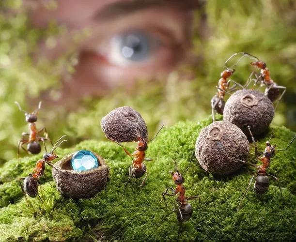 The Nature of Advanced Civilization: From General Relativity to Quantum ...