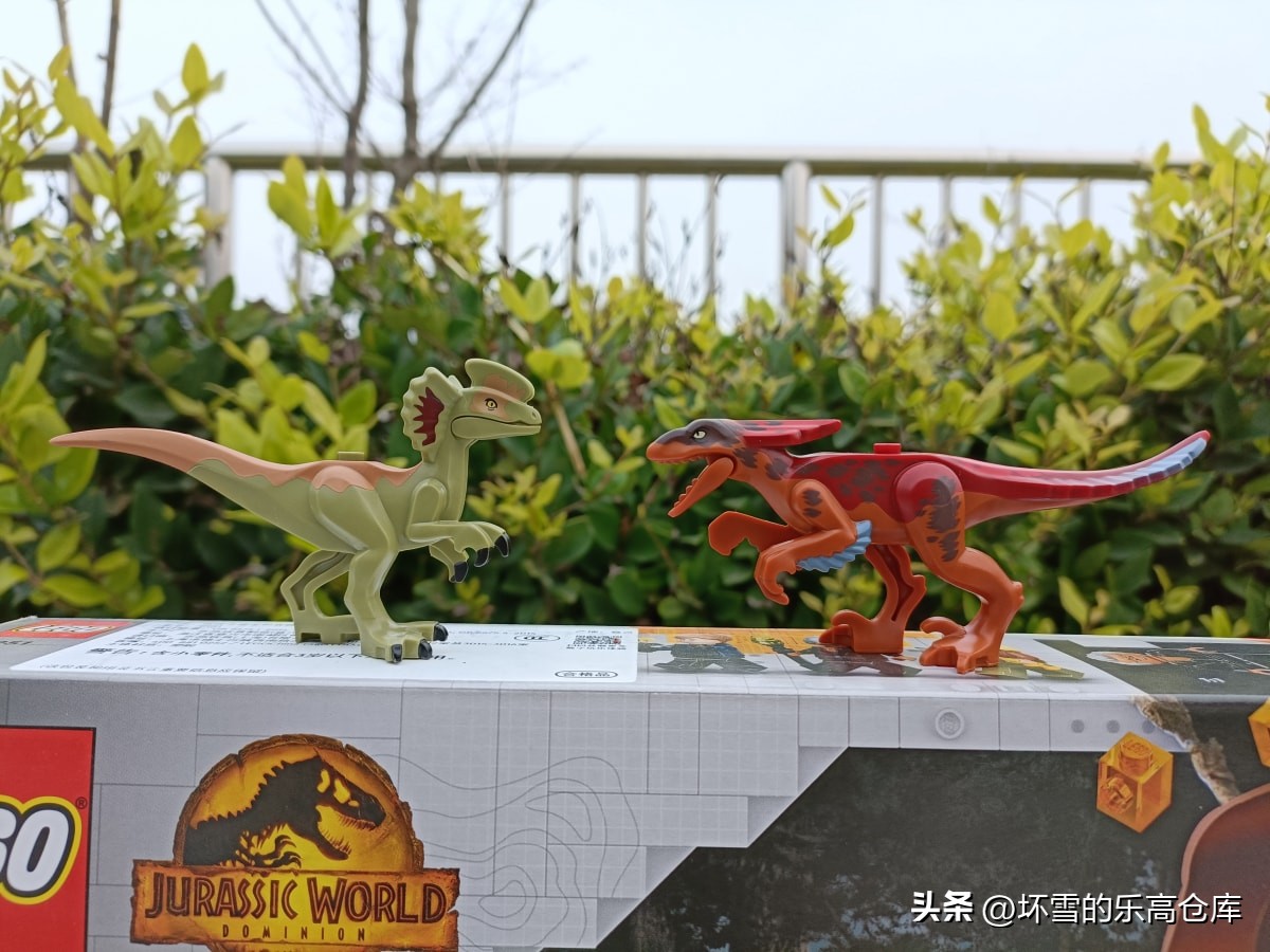 The new Pyroraptor is here!Will you start?Try the LEGO Jurassic Double ...