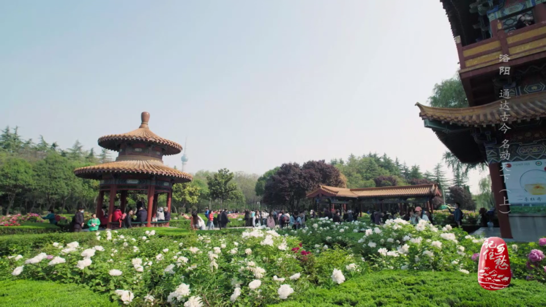 Enter Luoyang, the ancient capital of the thirteen dynasties, and ...