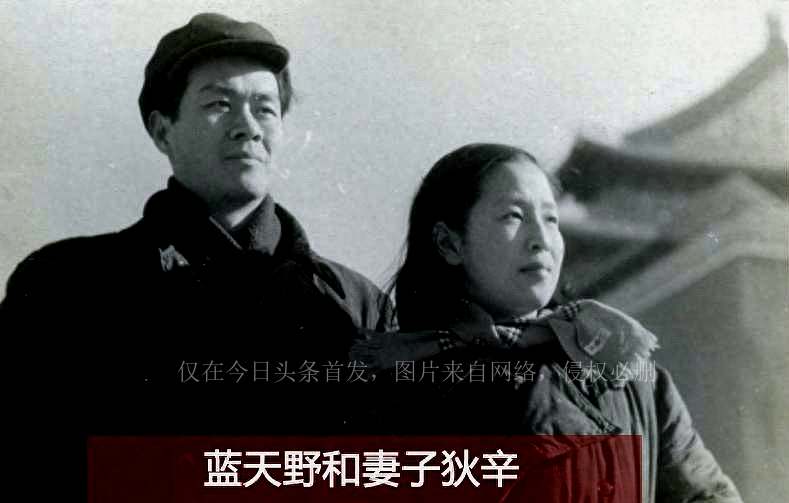 Lan Tianye's wife Di Xin: Is the talented actor more famous than her ...