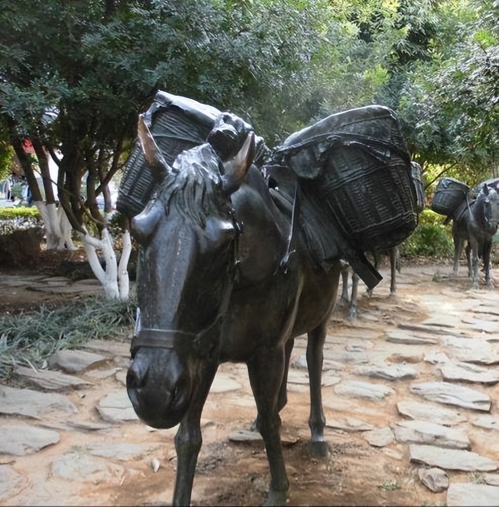 Tour the ancient town of Shuanglang in Dali, measure the ancient tea ...