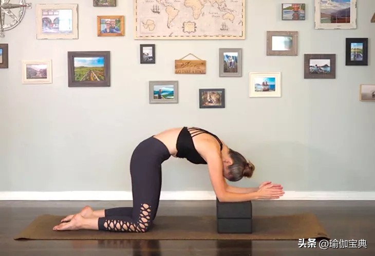 Wrist injury?7 Modified Practices of Common Yoga Poses to Help You ...