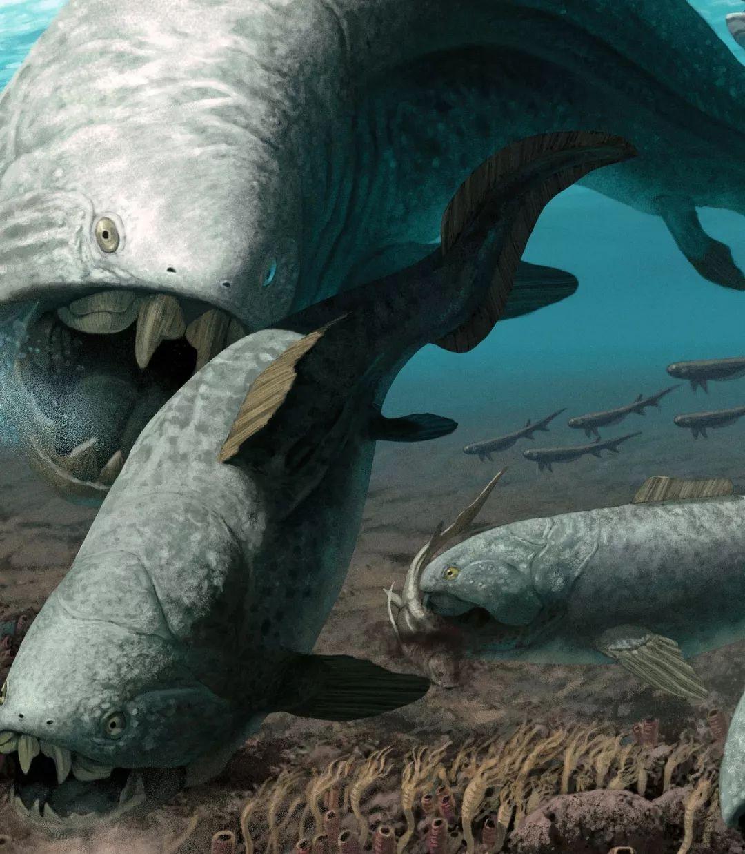 Ocean overlords of different periods, each of which can subvert your ...