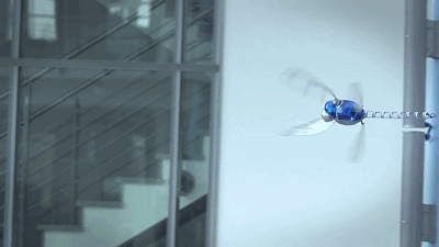 Almost the same as the real one, this bionic dragonfly is about to ...