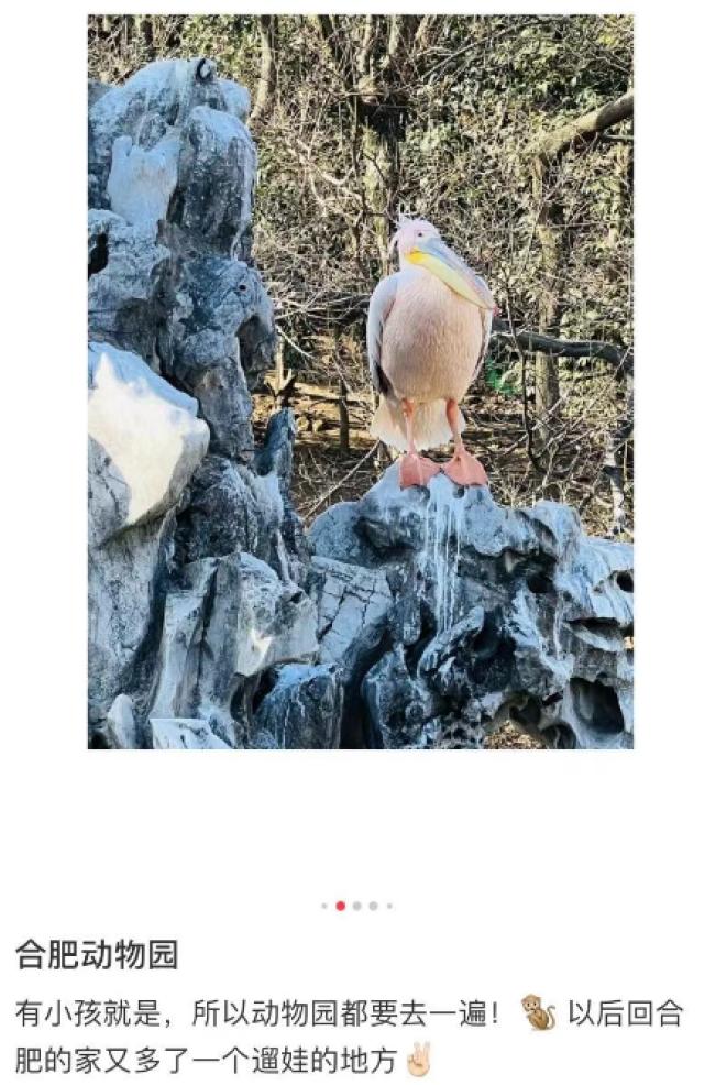 Chen Xiao hugged his son to play, wearing a thousand yuan jacket ...