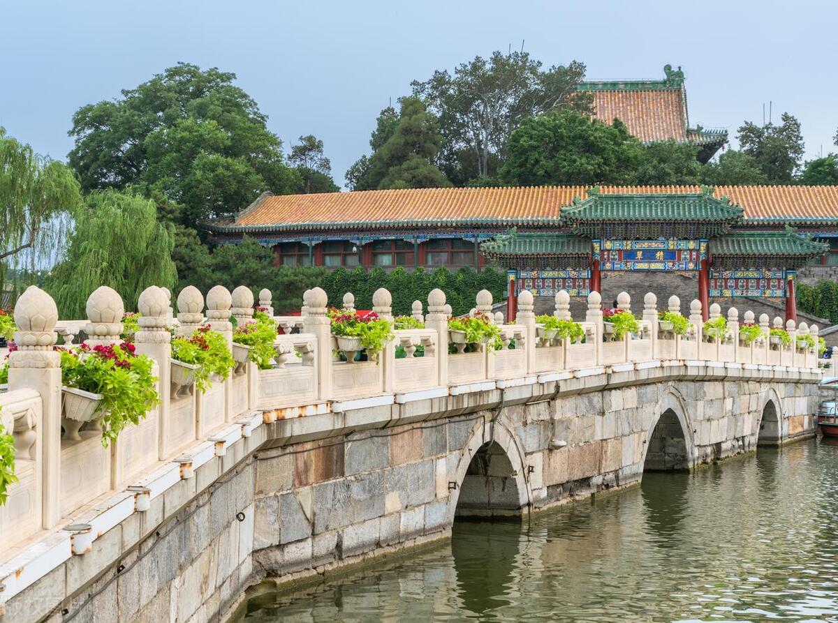 Summer Wonderland: Exploring the beautiful lotus pond under Yong'an ...