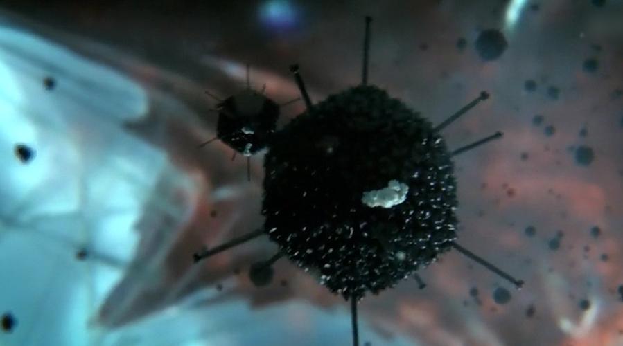 Are humans vulnerable to viruses? The process of cells fighting against ...