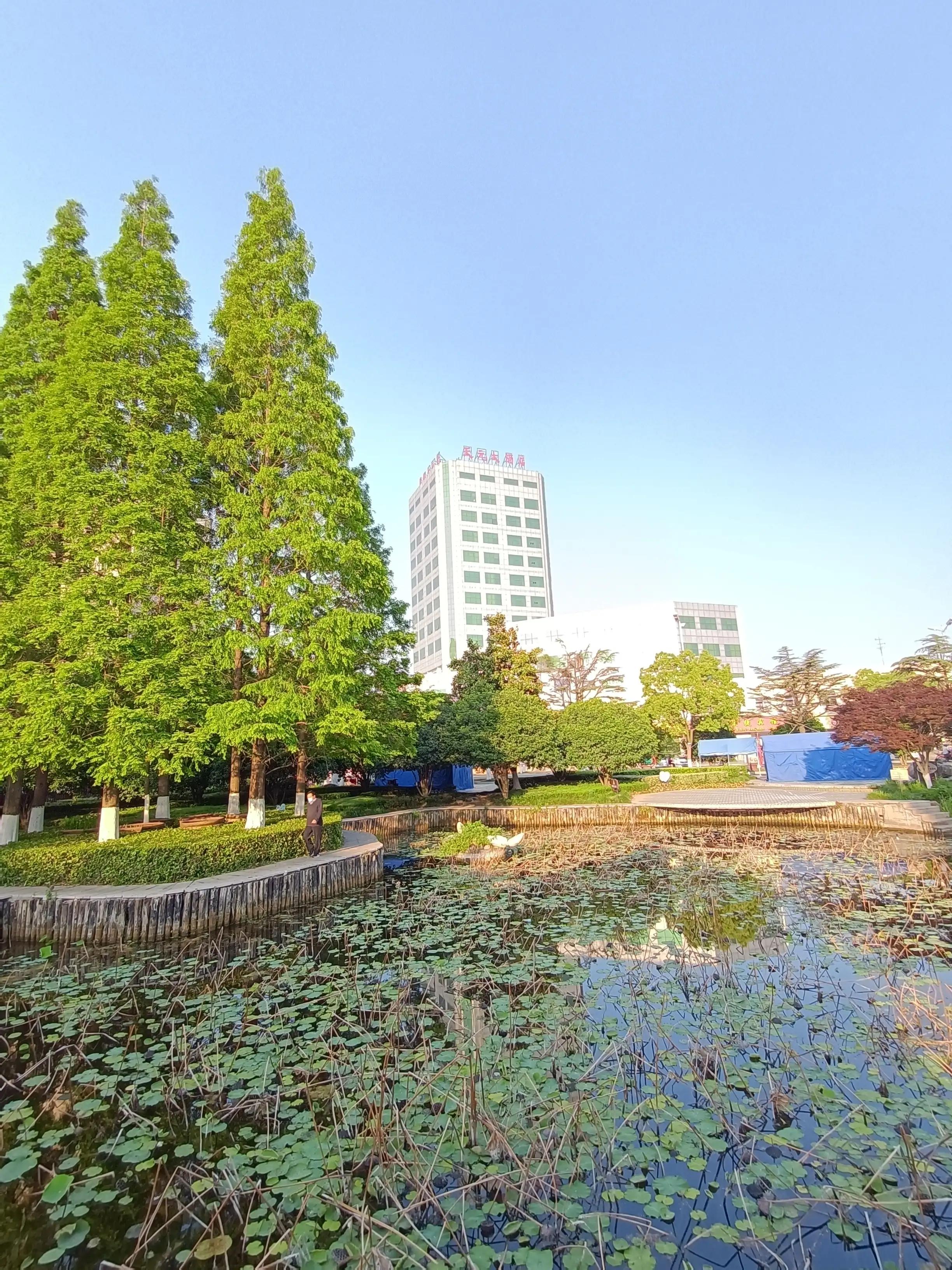 "Wandering and Reverie" by Kangle - iNEWS