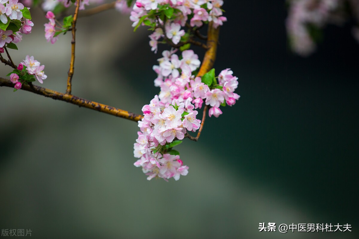 When Qi is sufficient, Yang is prosperous, and when Qi is weak, Yang is ...