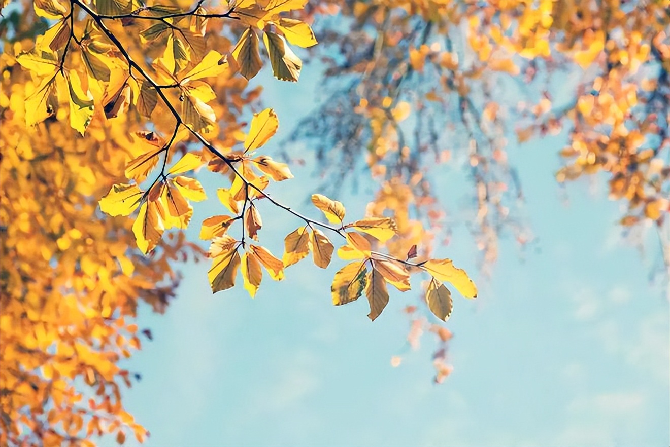 Summer is not over, and suddenly autumn is coming - iMedia