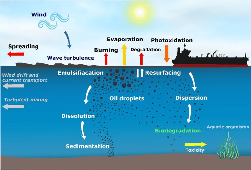 What would happen if Earth's oceans disappeared? - iNEWS