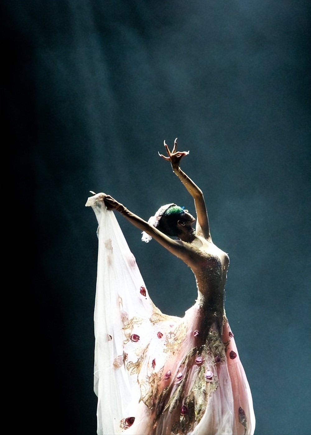The Artistic and Cultural Significance of Dance Documentaries: A ...