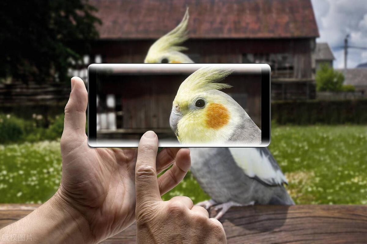 How to use the focus tracking function? How to use the focus lock ...