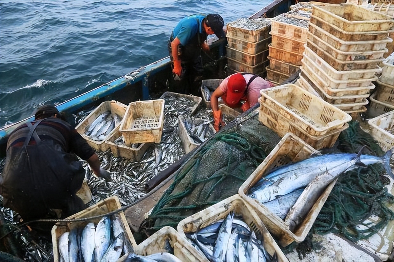 Ready to do it? Hundreds of South Korean fishing boats are destroying ...