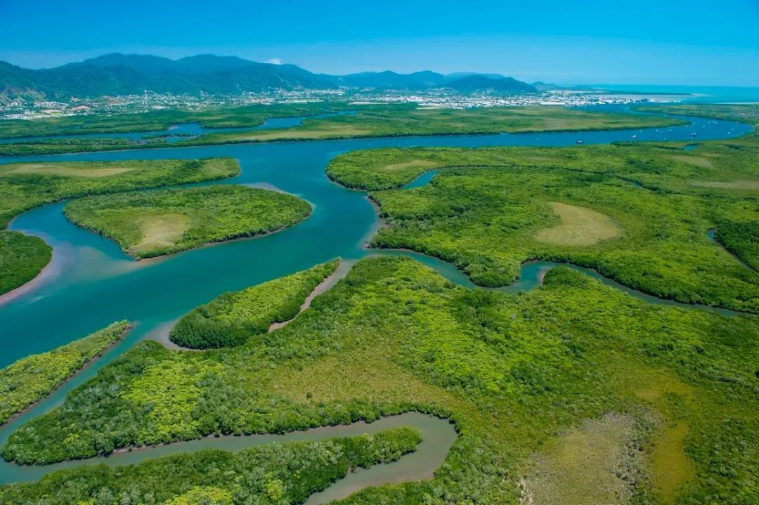 Cairns Great Barrier Reef ~ The most magnificent diving and snorkeling ...