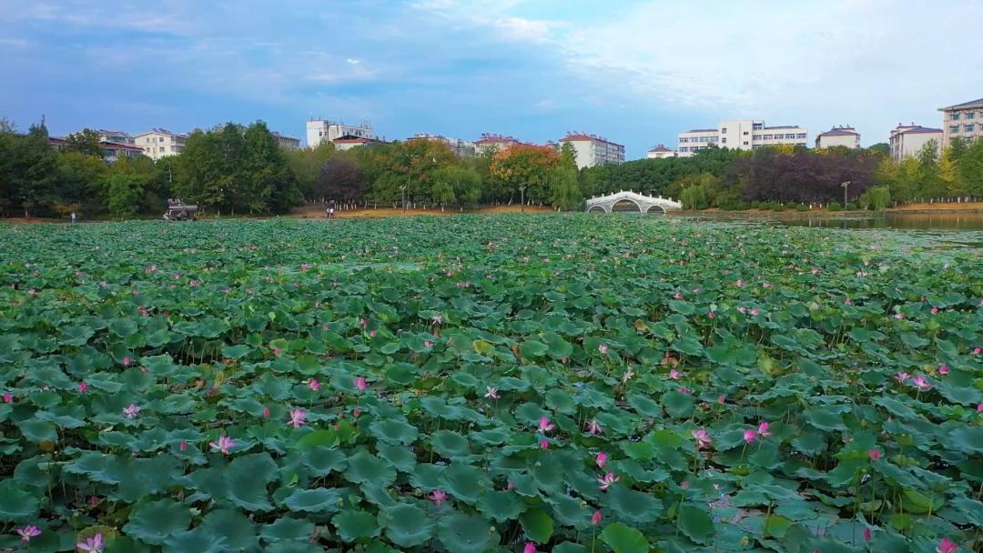 [The view of the small city is beautiful] Have you ever been to Yanjia ...