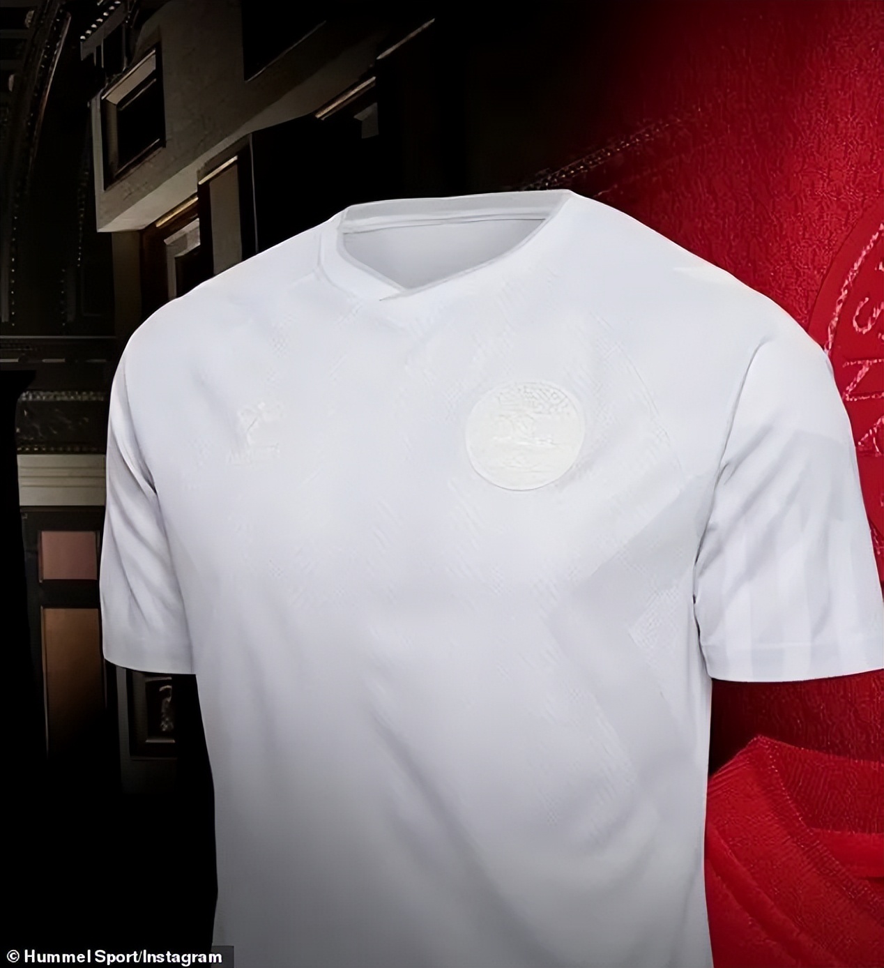 Haohan Sports: Denmark team jersey released, brand logo and team emblem ...