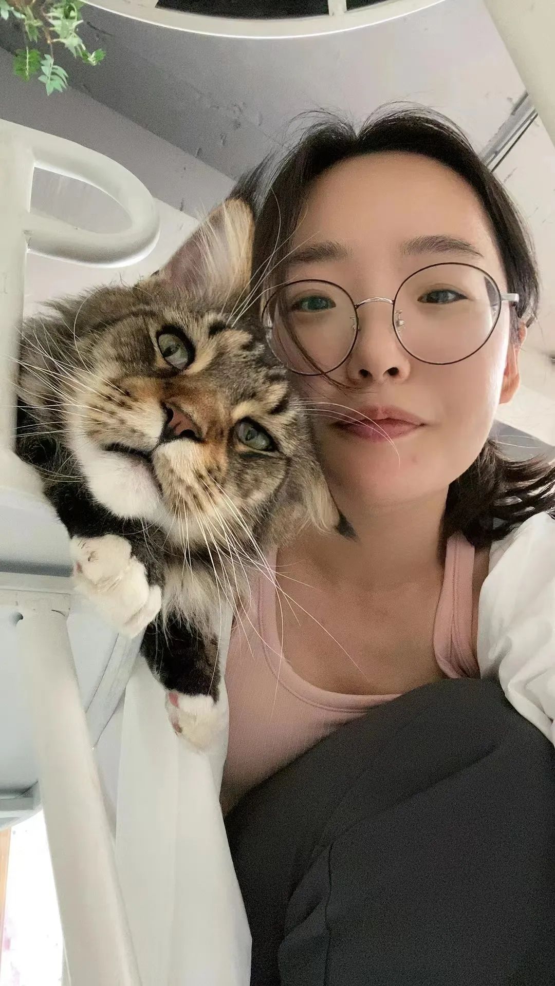 Don't be "brooding" about uncontrollable things, but turn a blind eye ...