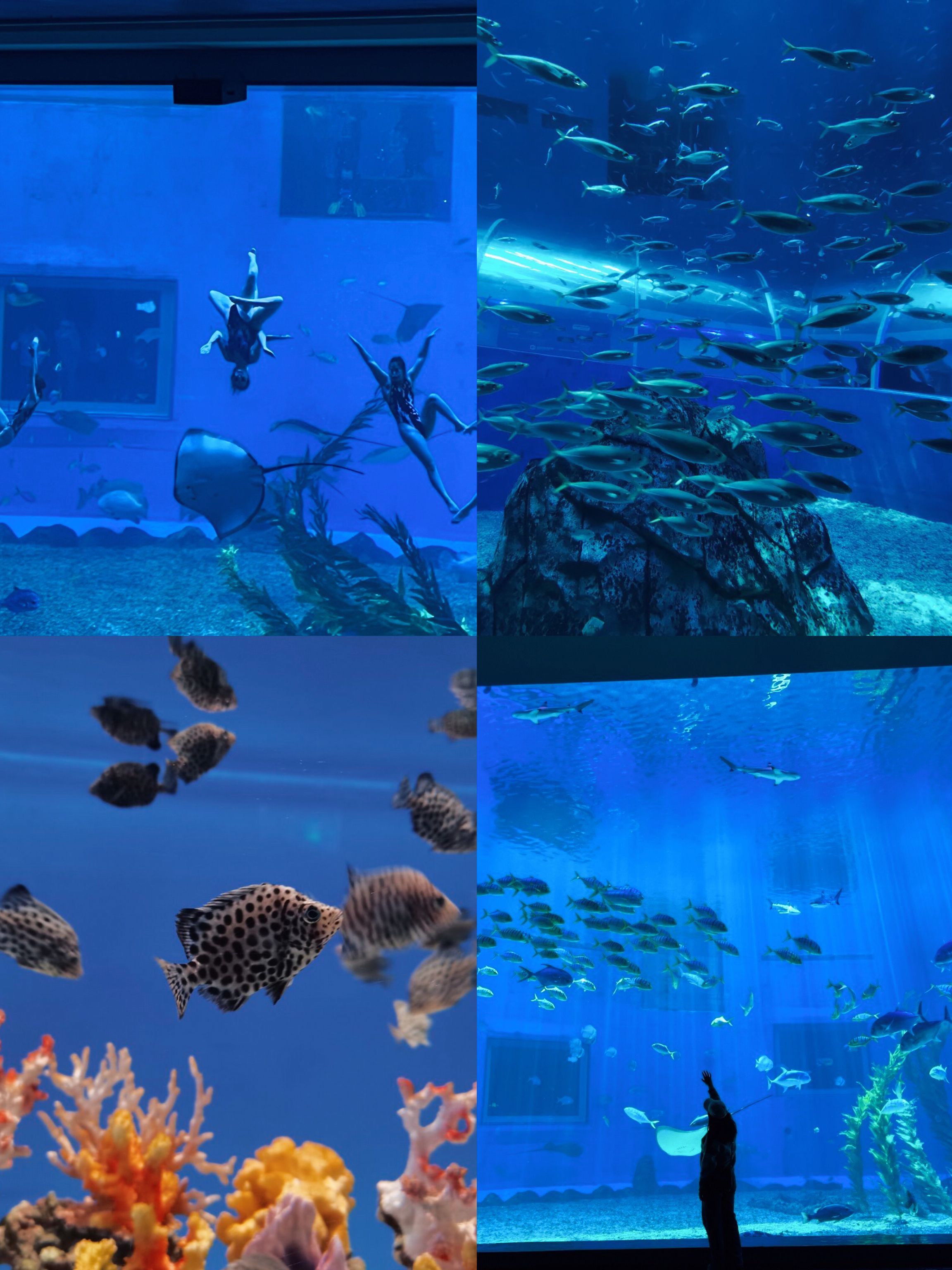 Outsiders ️ come to Rizhao to go to these places - iMedia