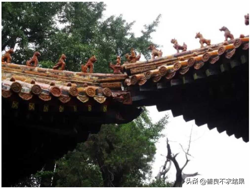 From "intrigue" to "words of praise", do you know the secret? - iMedia