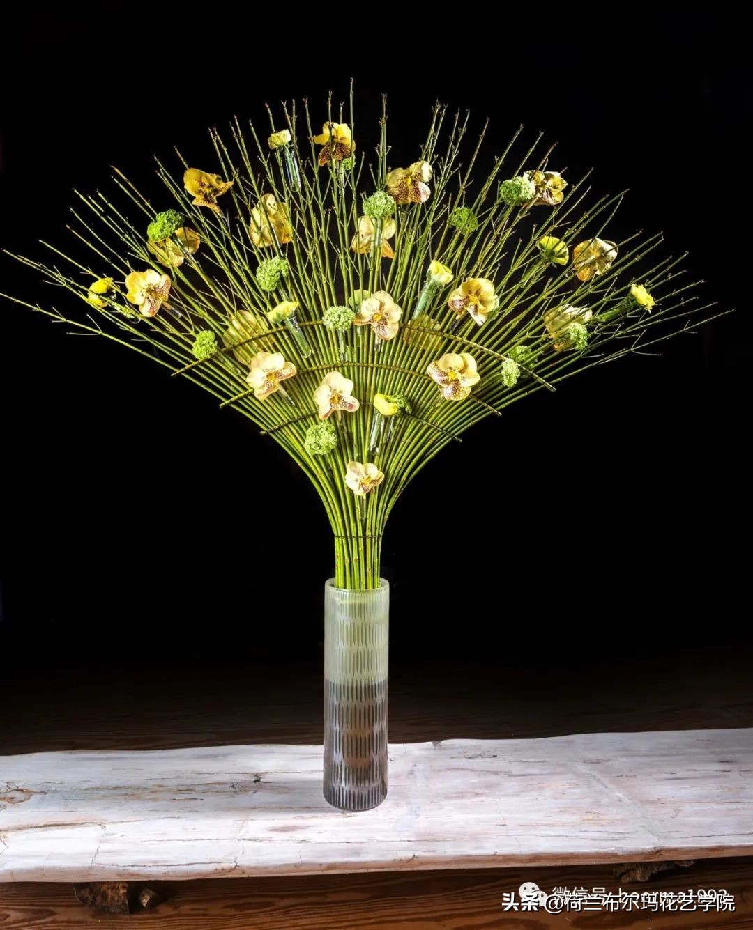The Art of Order and Rhythm in Floral Design - iNEWS
