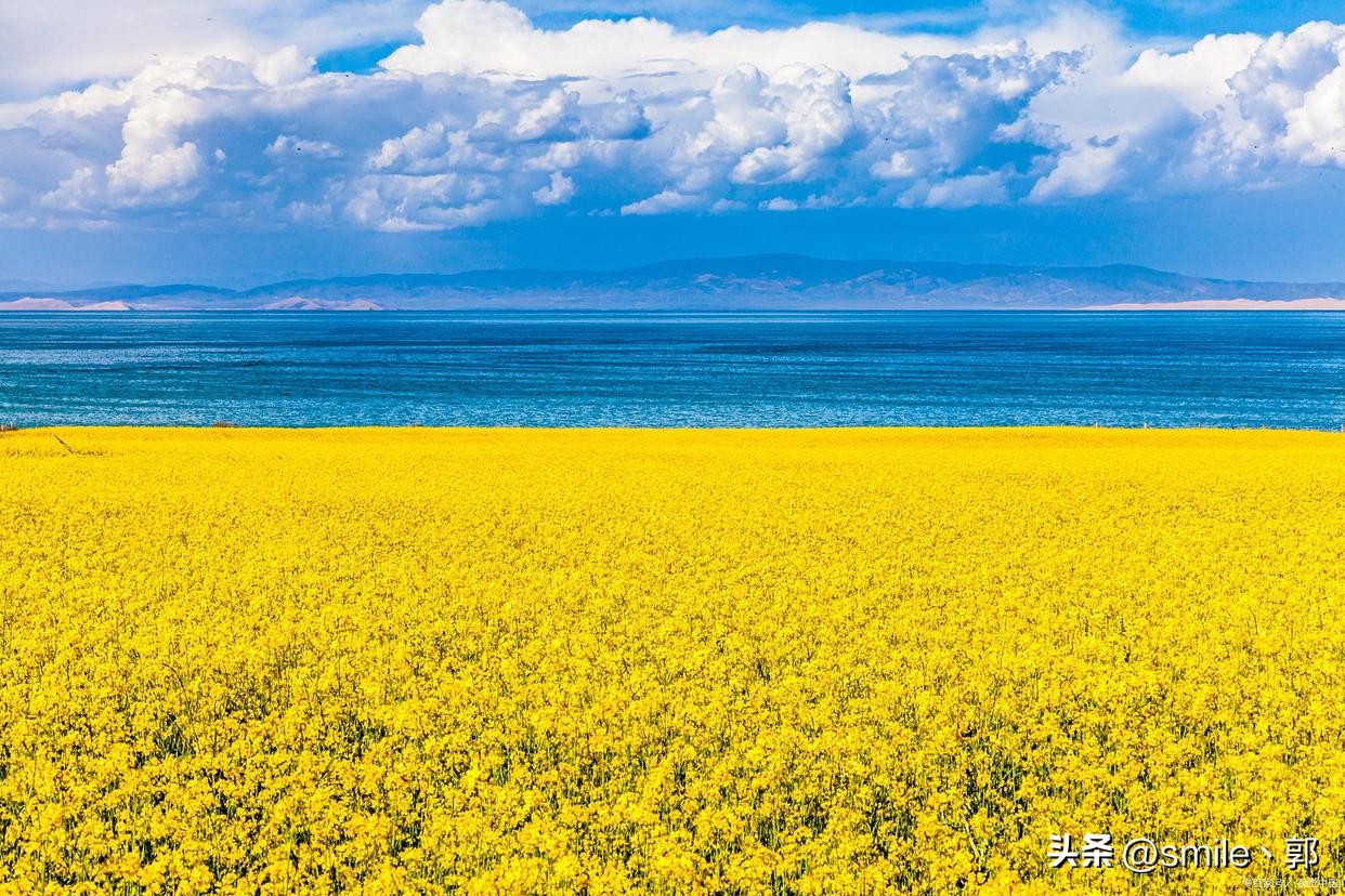 China's 10 most beautiful rape flower seas, or on the grasslands ...