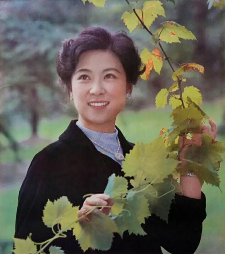 Calendar appreciation (60) - 1981 film and television rookie calendar ...