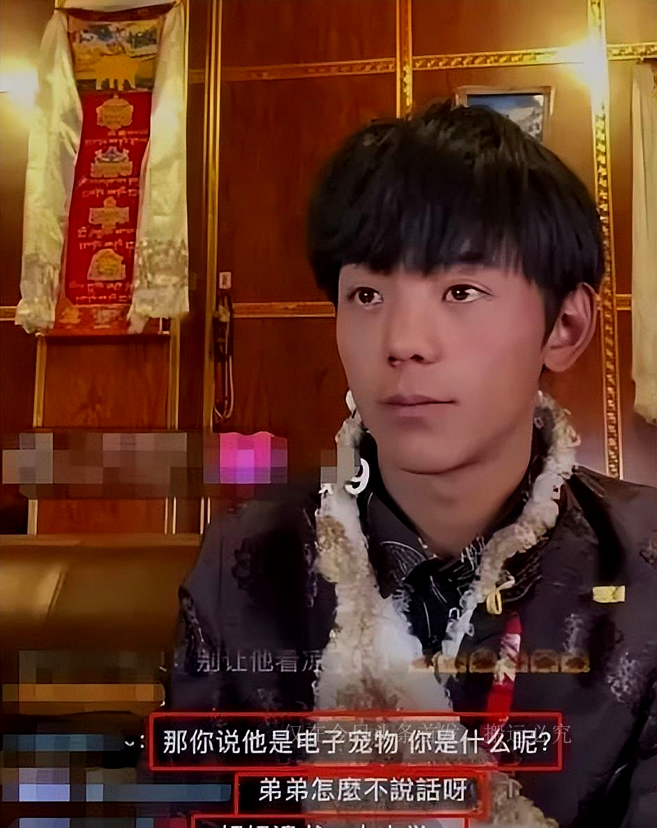 In the two years since Ding Zhen became famous, his career as a national Internet celebrity has ...