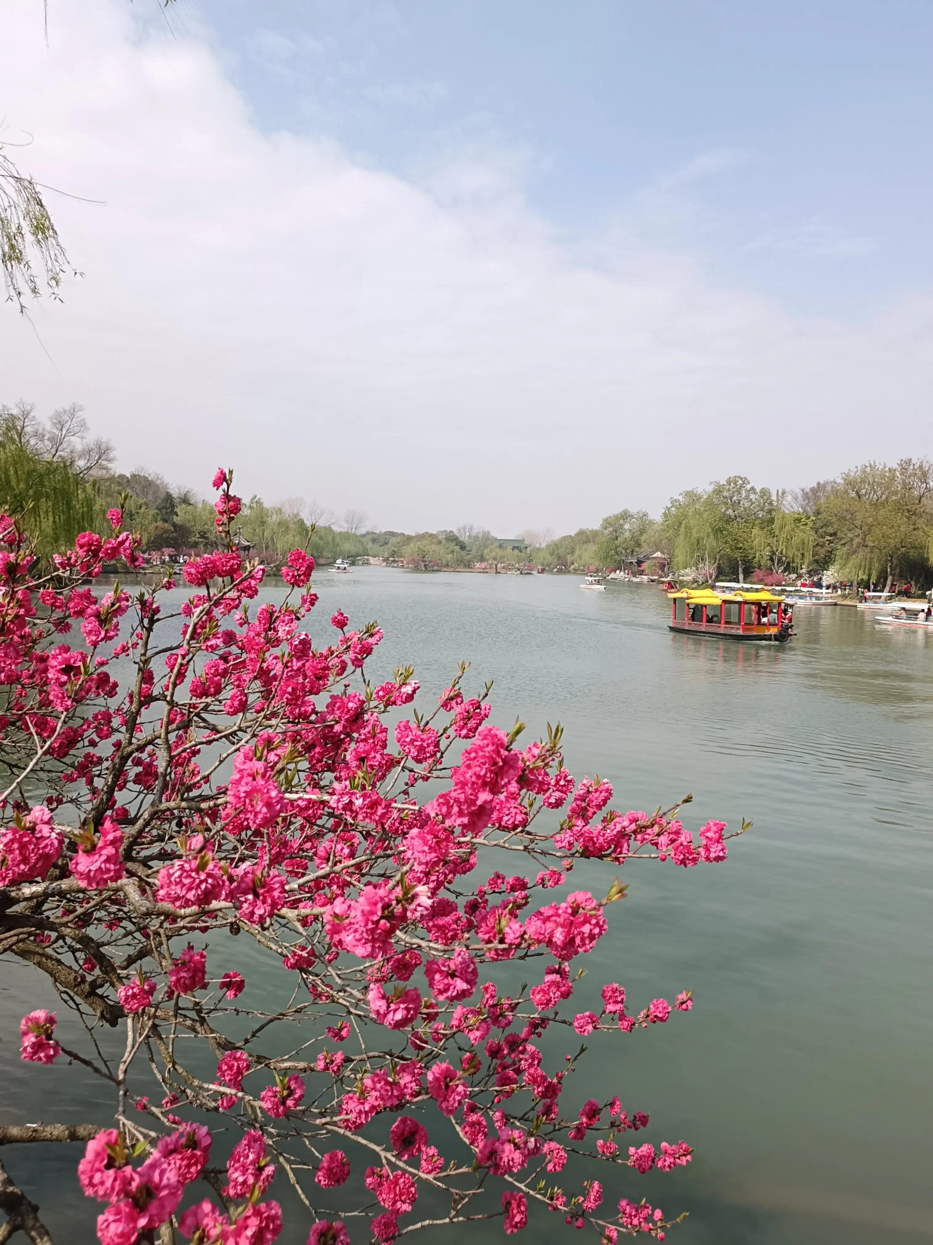 In the Slender West Lake in Yangzhou, have you noticed the "spring ...