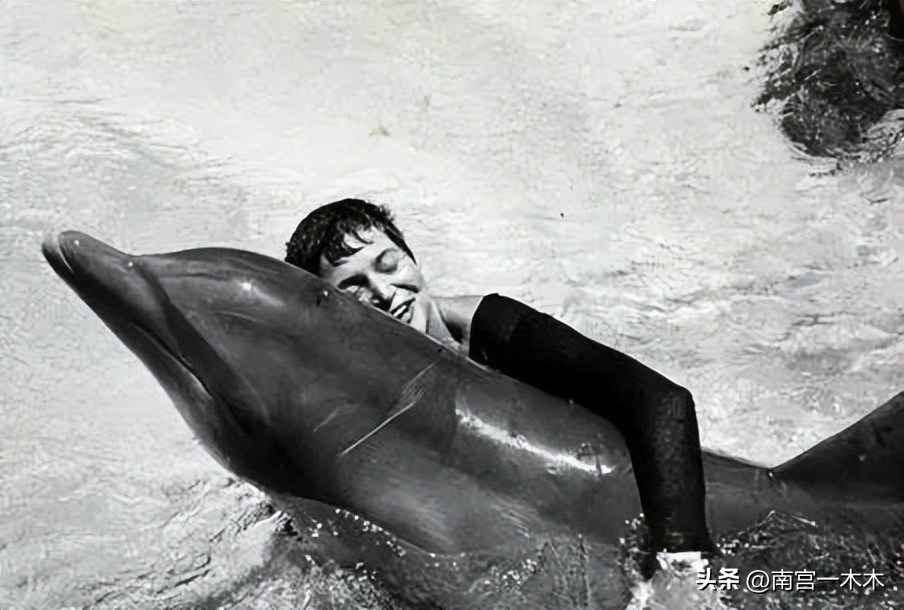 In 1963, a woman in the United States fell in love with a dolphin ...