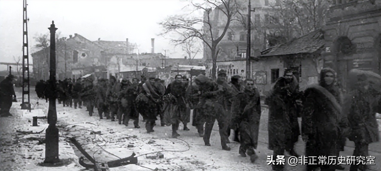 The Battle of Lake Balaton: Hitler's last gamble, the German army was ...