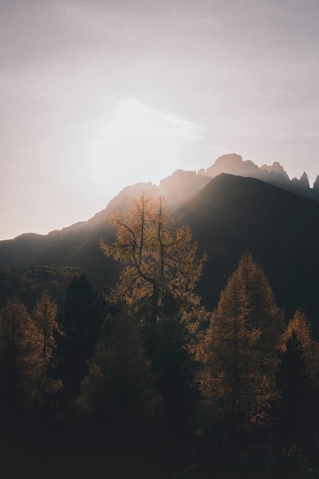 4 famous climbing poems: Chen Ziang is magnificent, Wang Zhihuan is inspirational, and the other ...