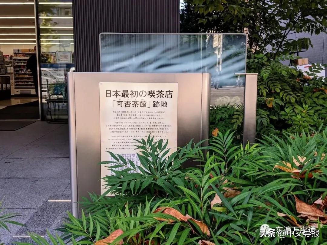 Yang Wenkai: A cup of coffee - iNEWS