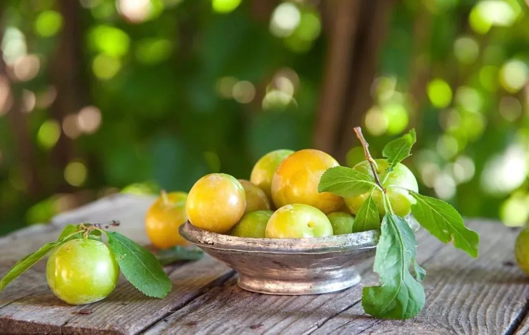 The beauty of Lixia - iNEWS