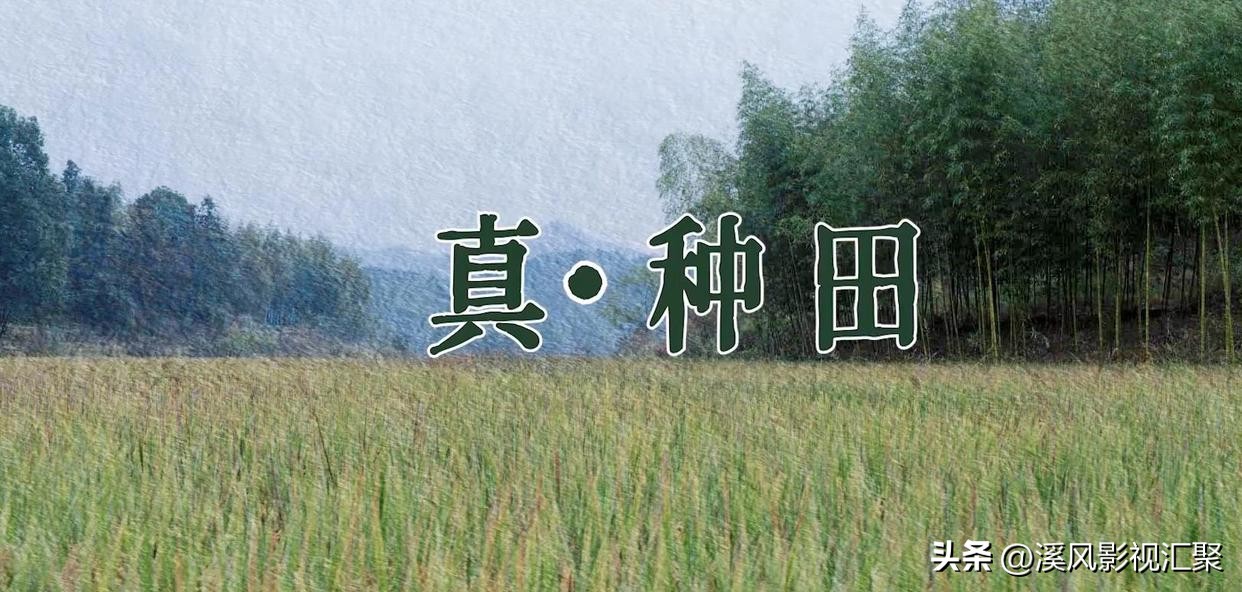 [Tian Gengji] Finale special, Tian Xiwei is cute, Zeng Shunxi is ...