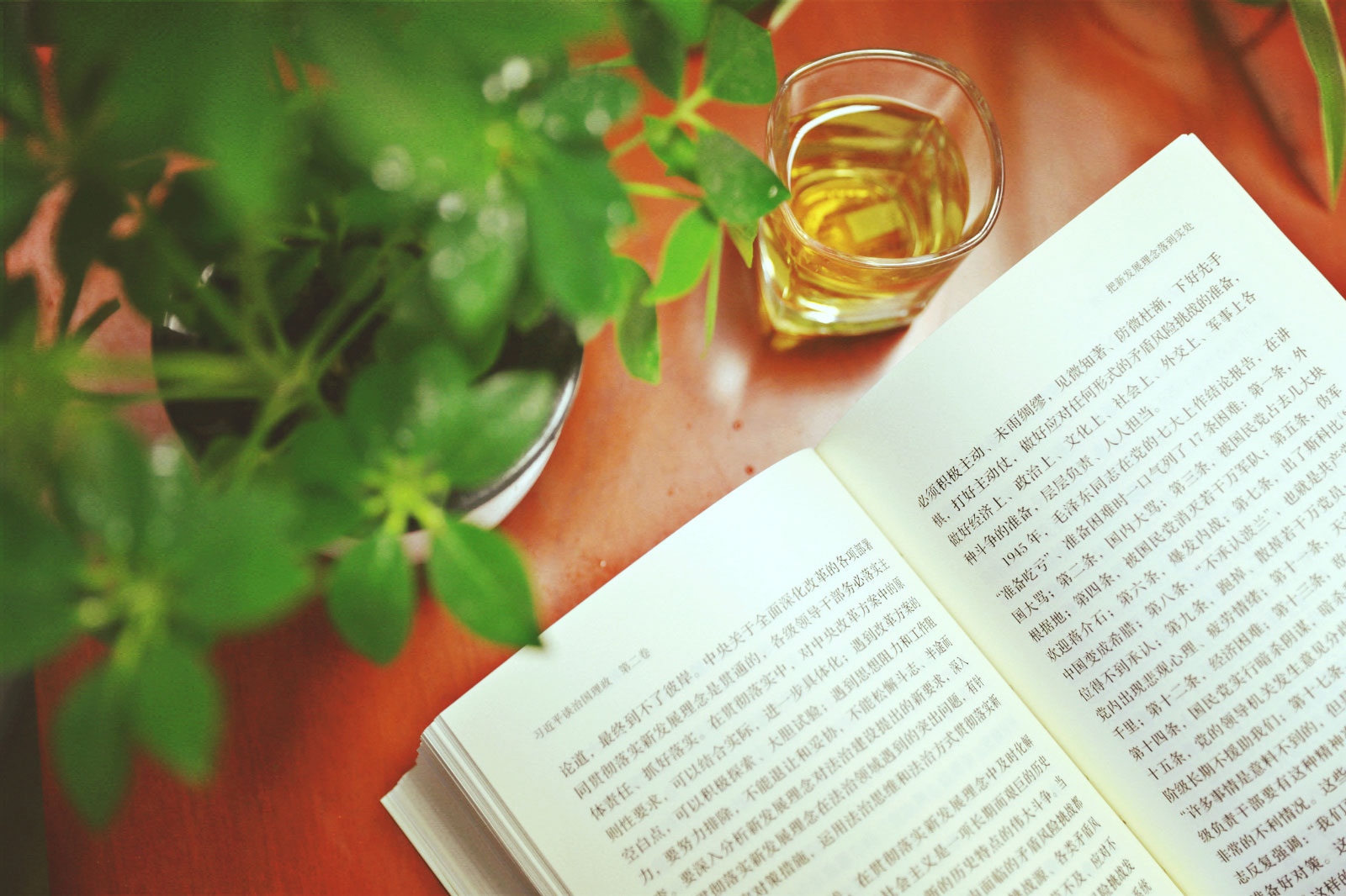 How to Use Books: Teach you how to read correctly and maximize your ...