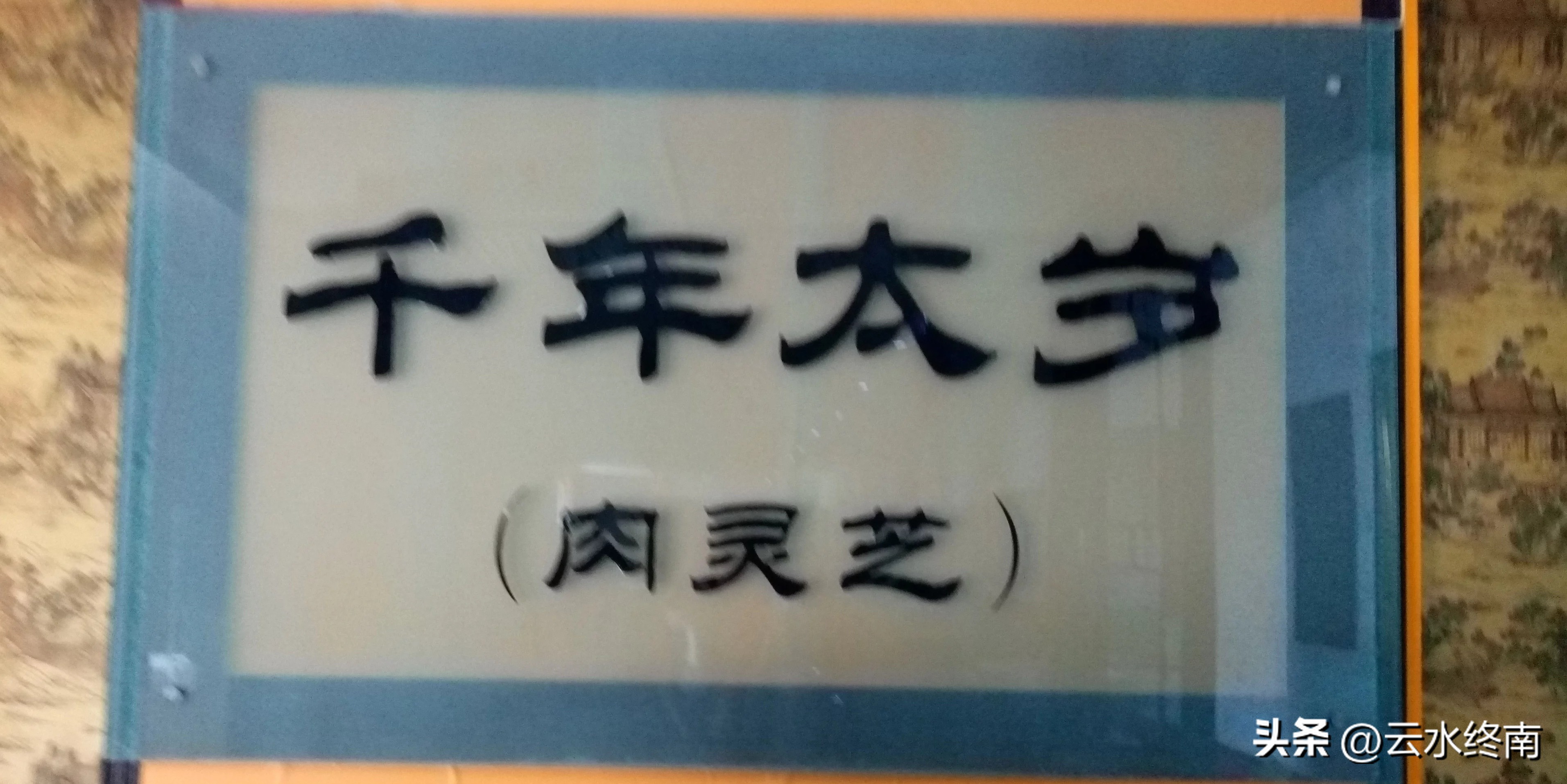 The Tomb of Bian Que and the Tomb of Lin Xiangru in Xi'an are separated ...